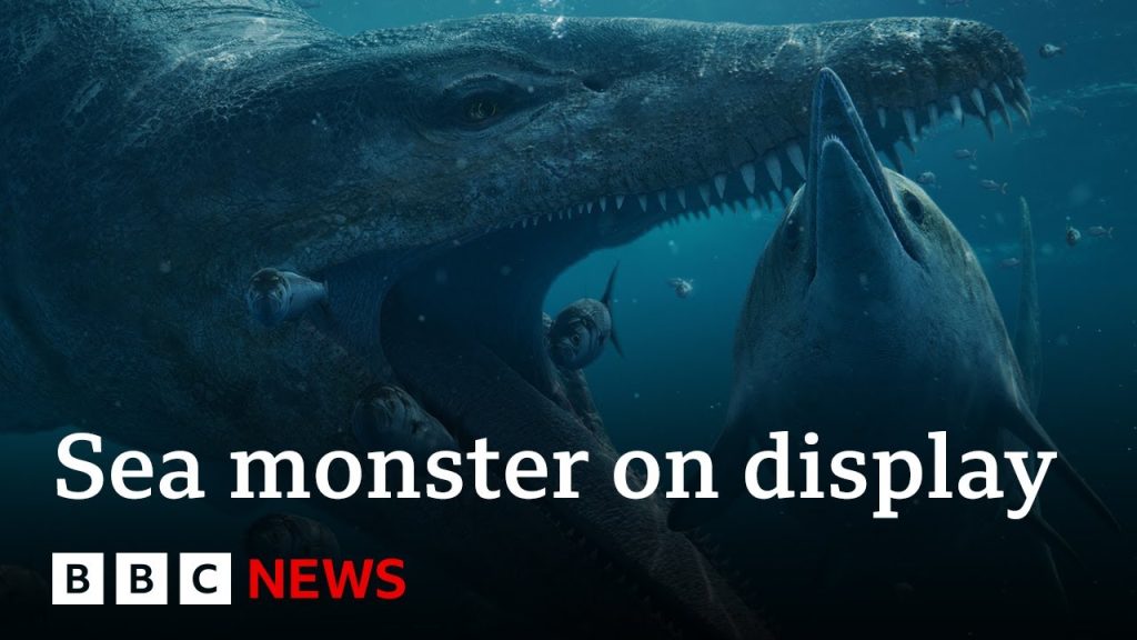 Colossal pliosaur sea monster skull goes on display – BBC News ...